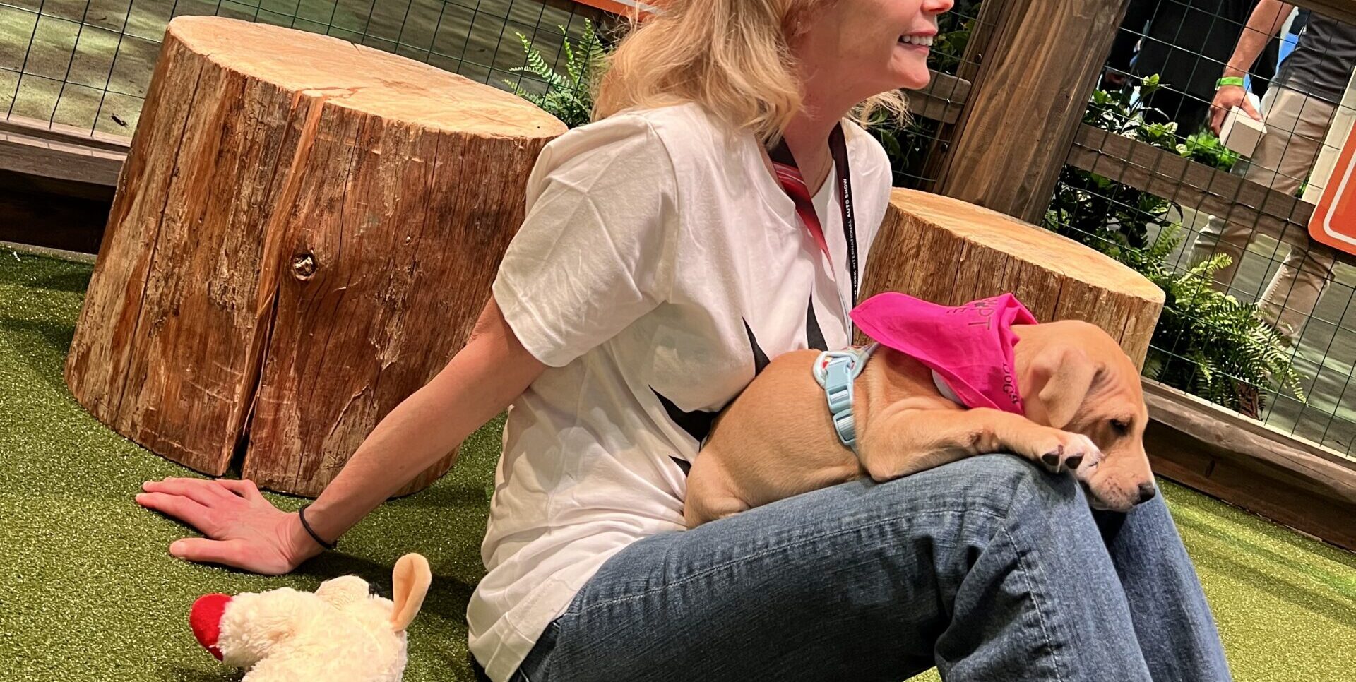 SUBARU LOVES PETS - New York International Auto Show